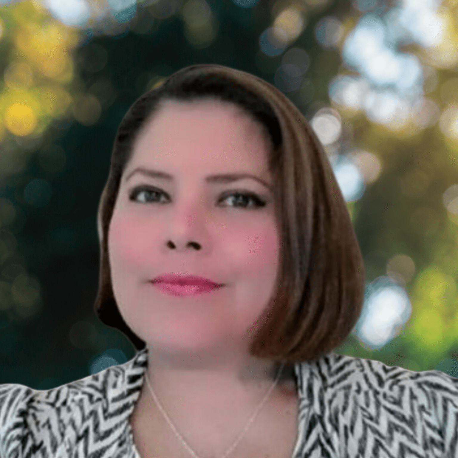 Arc of Illinois Staff | Disability Assistance, Support & Advocacy